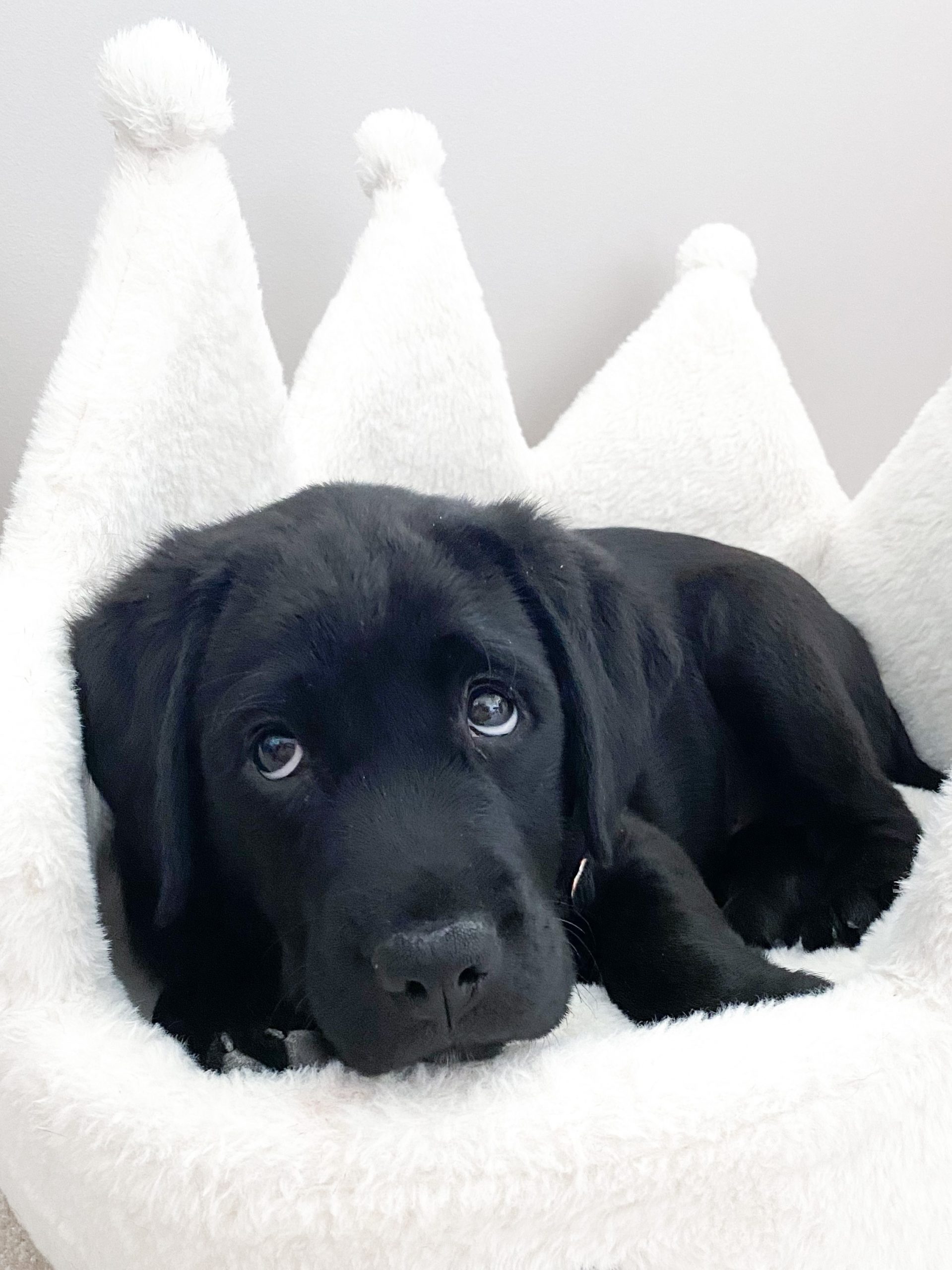 On Site Placement – Page 3 – OSP is a non-profit, charitable ...